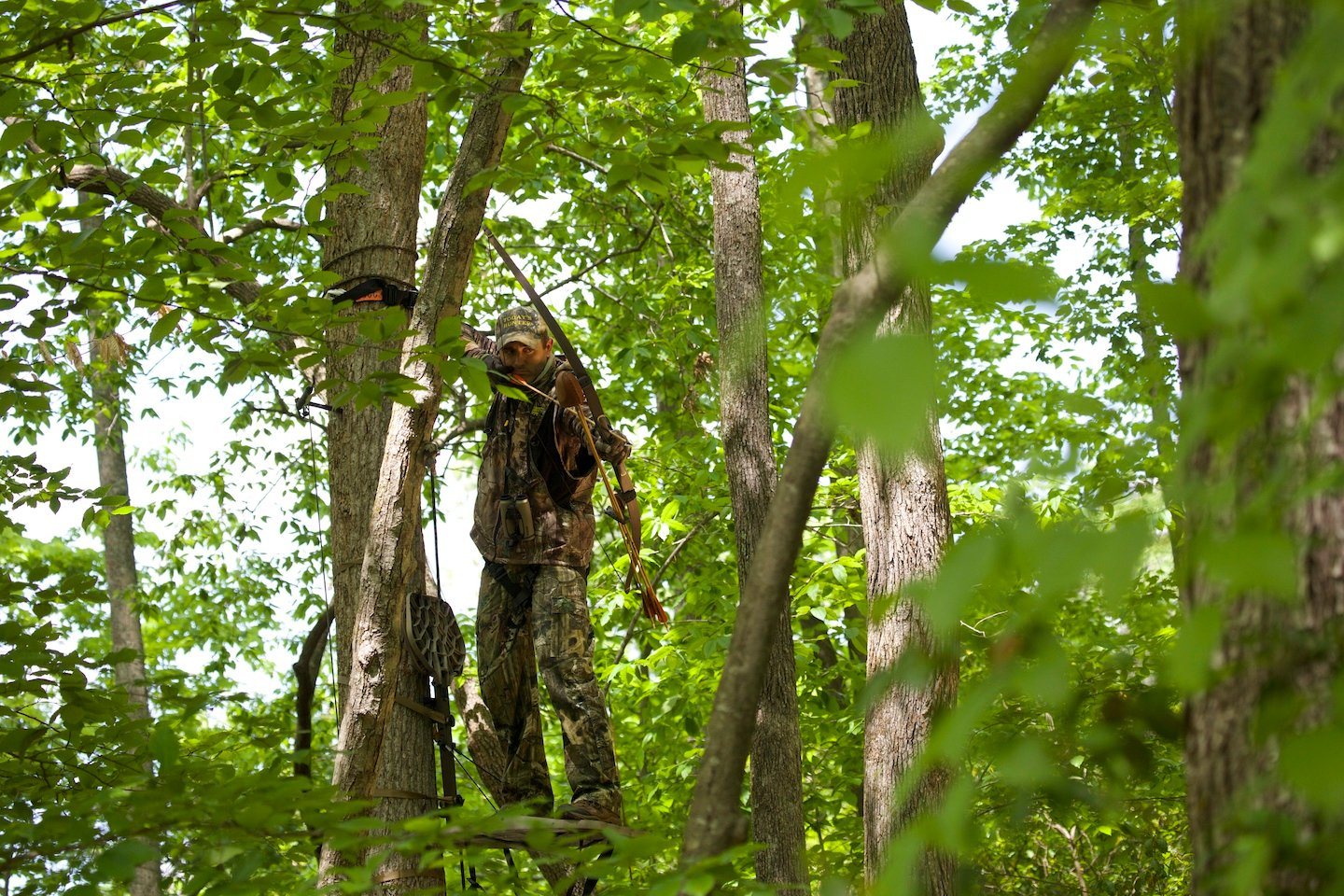 Tree Stand Safety: The ABC's You Need to Know | Today’s Adventure®